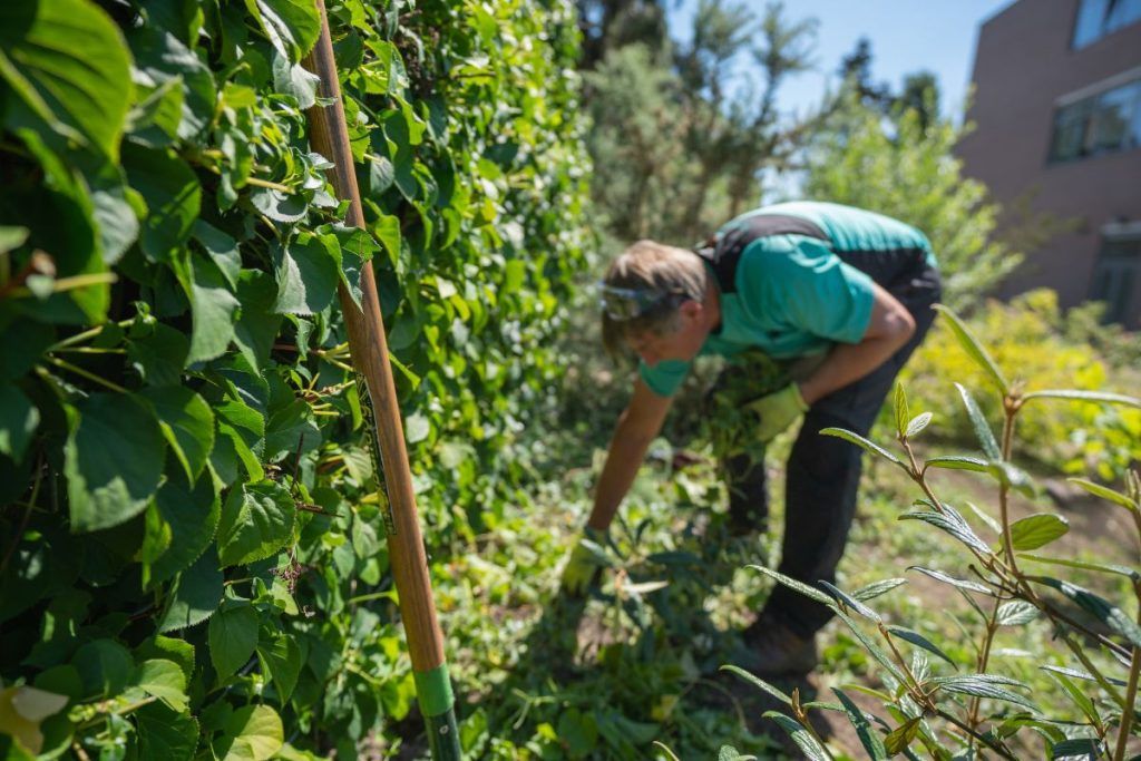 Leven Lang Ontwikkelen - Yuverta LLO
